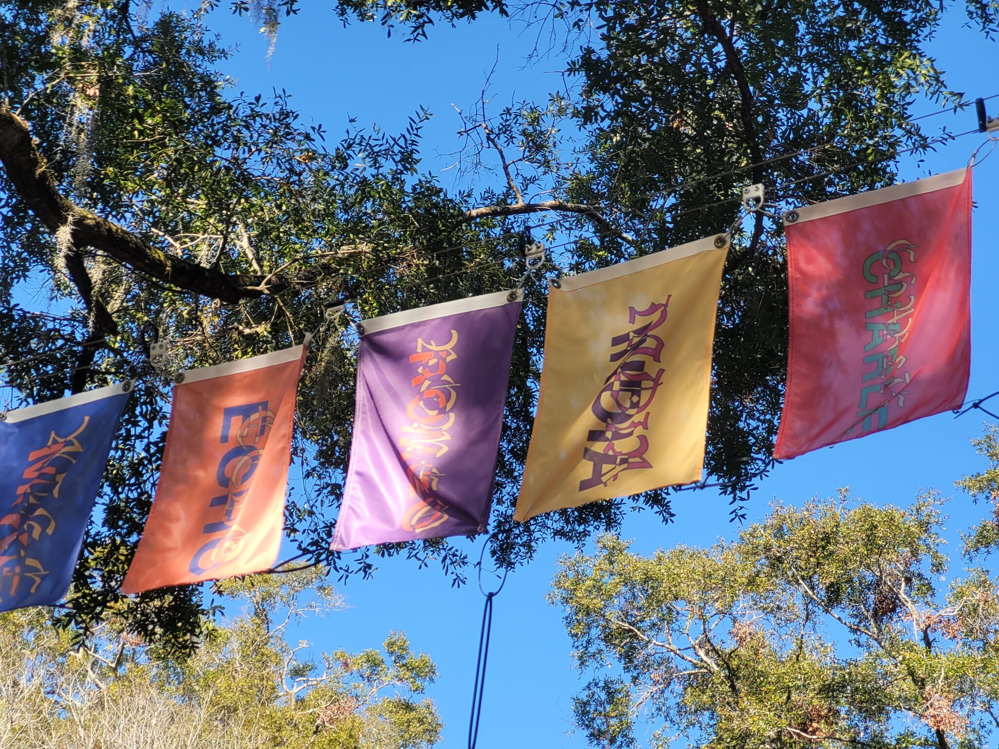 Alexandra Robinson – Pennant Place